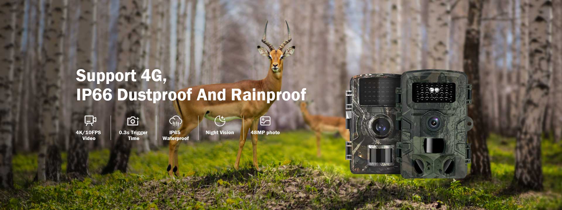 Professional Trail Camera And Action Camera Supplier| Ausek